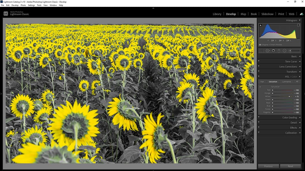 Simple Selective coloring method in Lightroom • Improvefoto