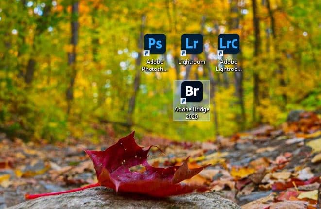 Five exciting features in Adobe June 2020 update • Improvefoto